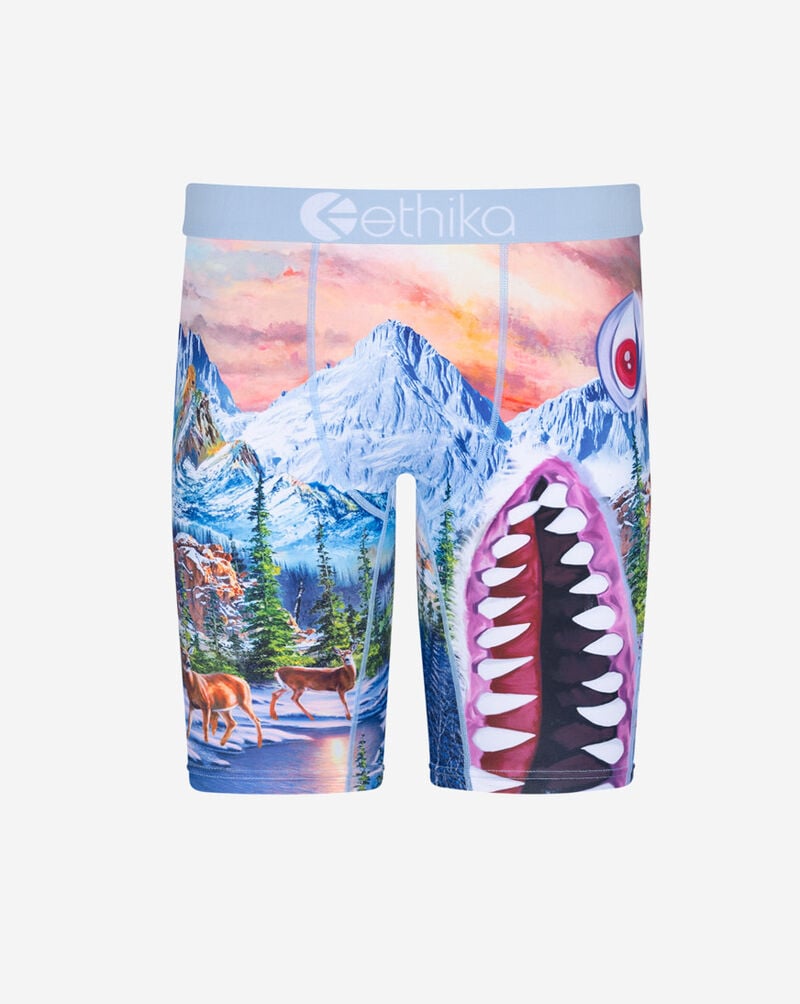 Shop Ethika Grade School Abominable Briefs Blst2990 Multi Snipes Usa