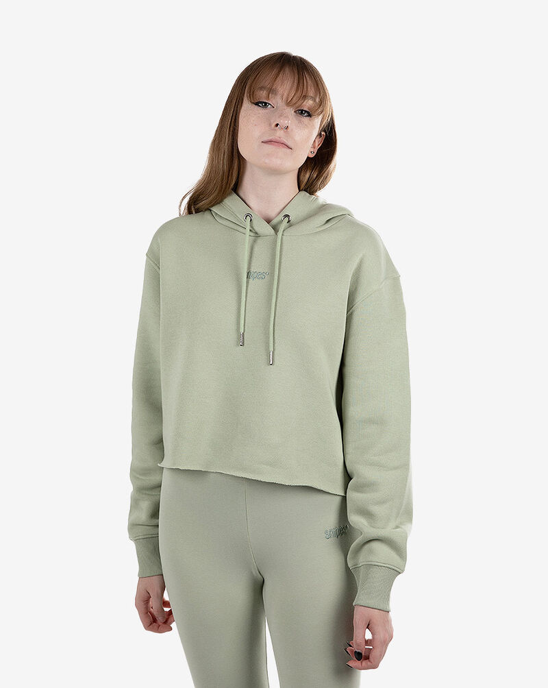 Shop SNIPES Small Logo Essential Hoodie SW-HD021-100-06-1 green ...