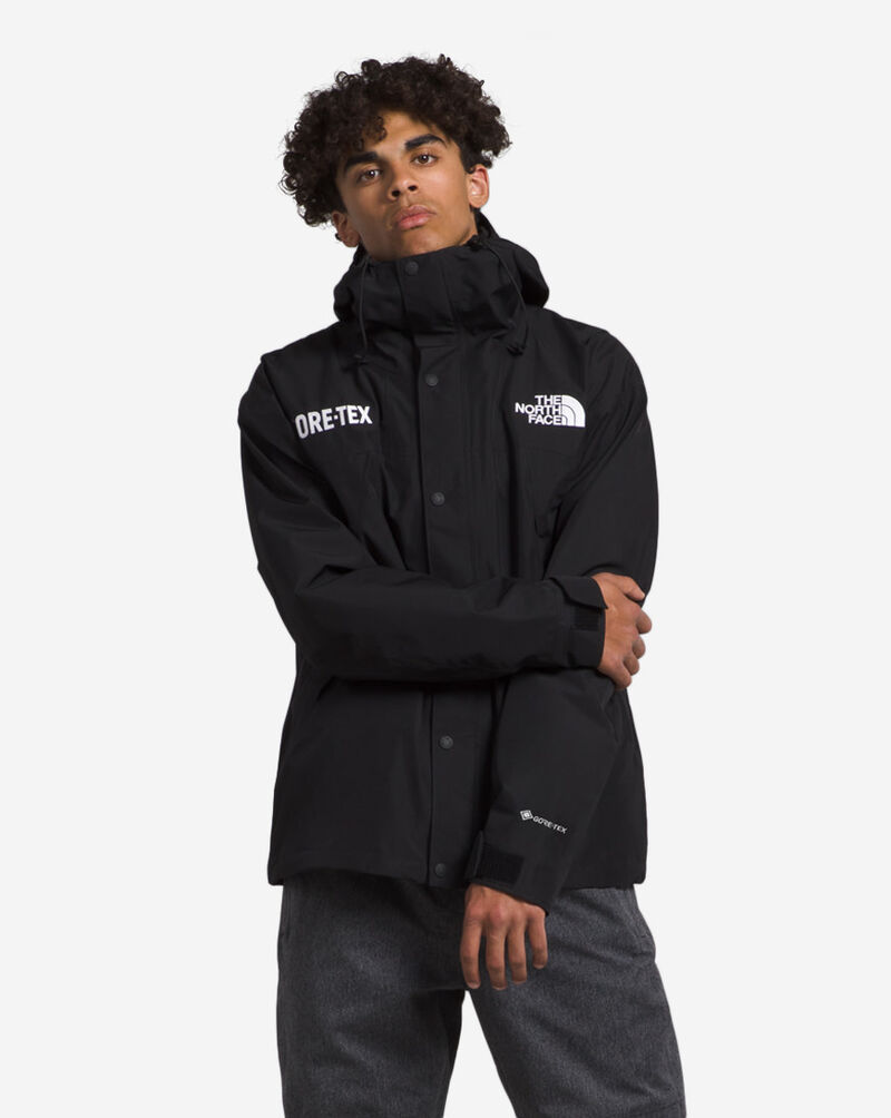 Shop The North Face GORE-TEX Mountain Jacket NF0A831M-JK3 black | SNIPES USA