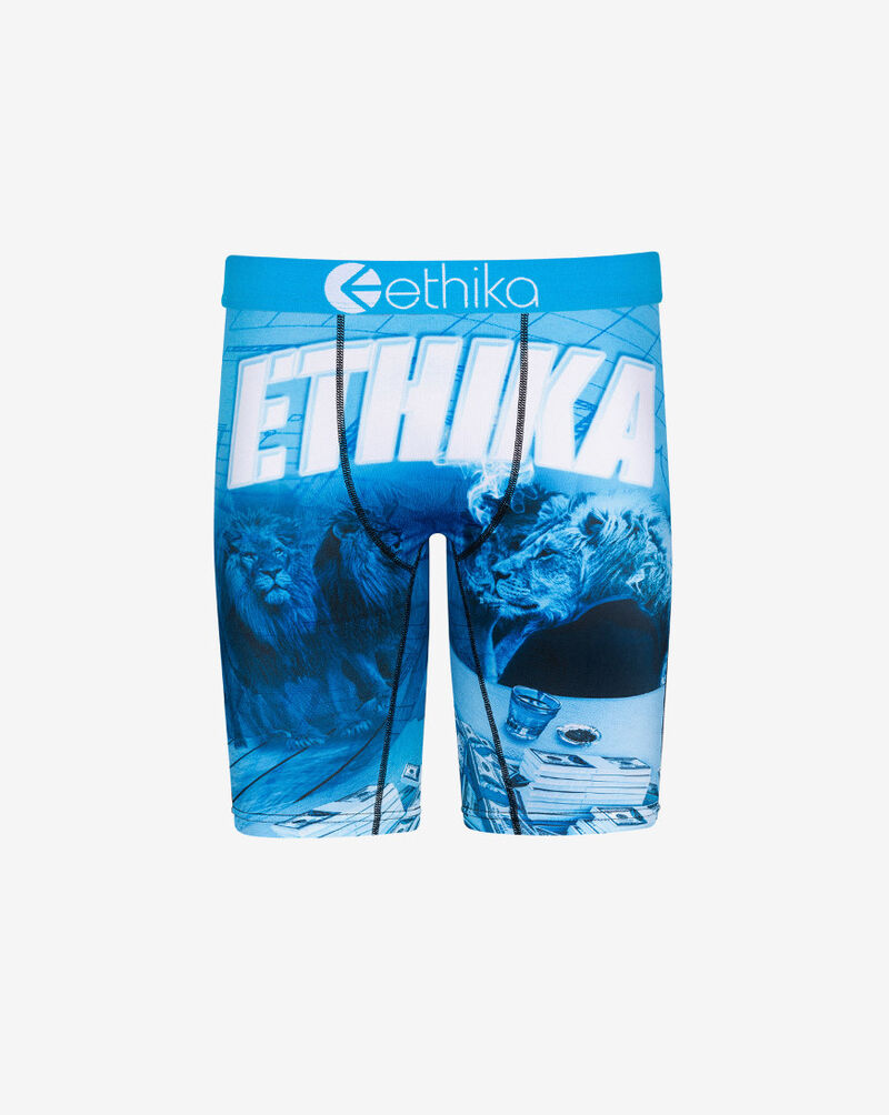 Shop Ethika Boys' Blue Print Briefs BLST1717 blue | SNIPES USA