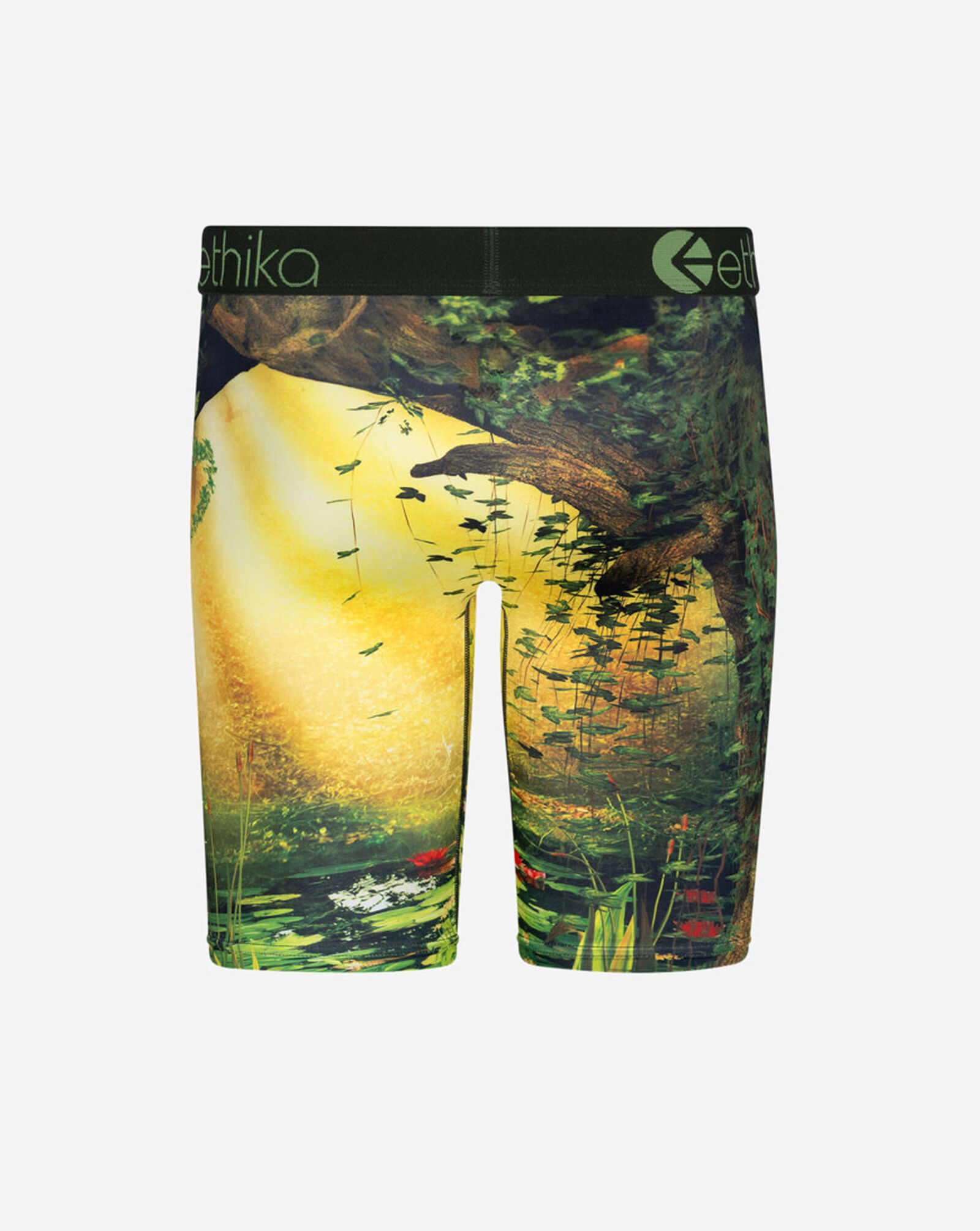 Shop Ethika BMR Petra Briefs MLUS3502 multi | SNIPES USA