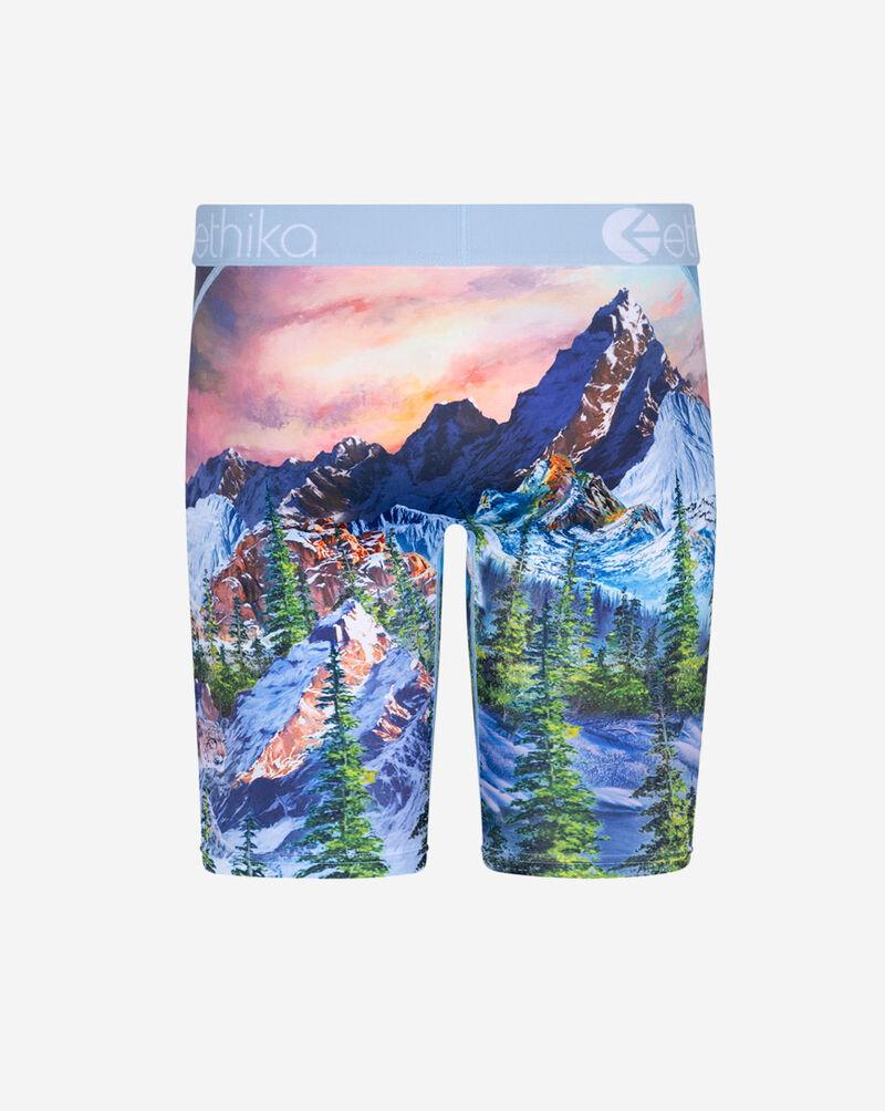 Shop Ethika Grade School Abominable Briefs Blst2990 Multi Snipes Usa
