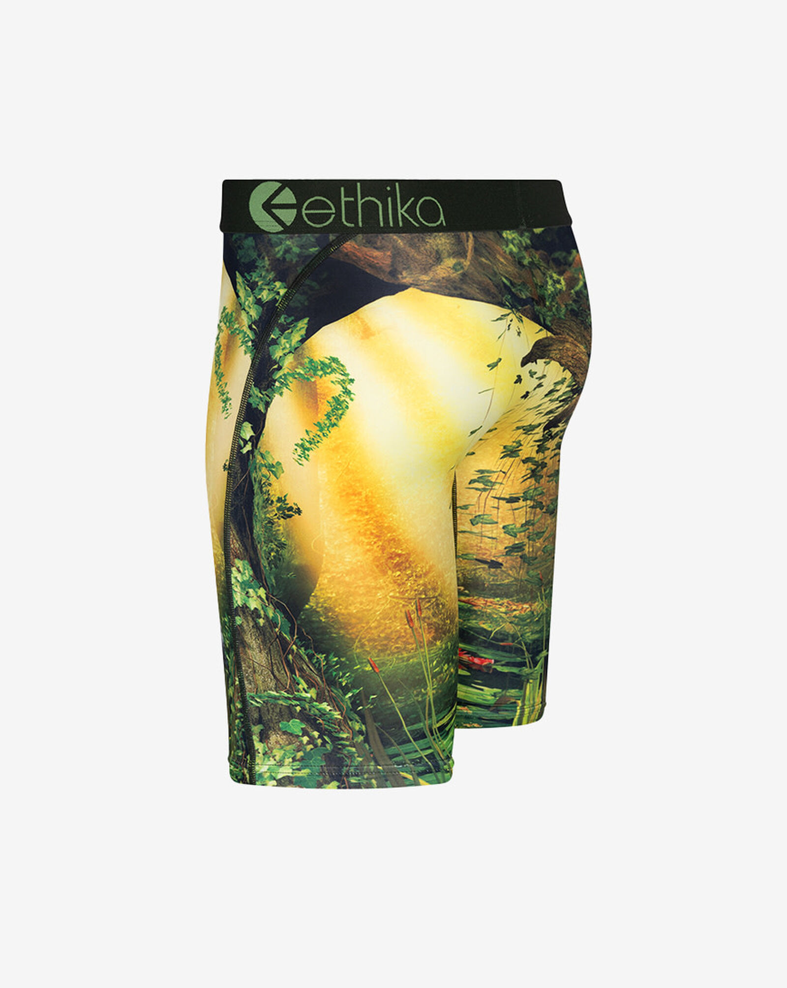 Shop Ethika Grade School BMR Petra Briefs BLST3502 multi | SNIPES USA