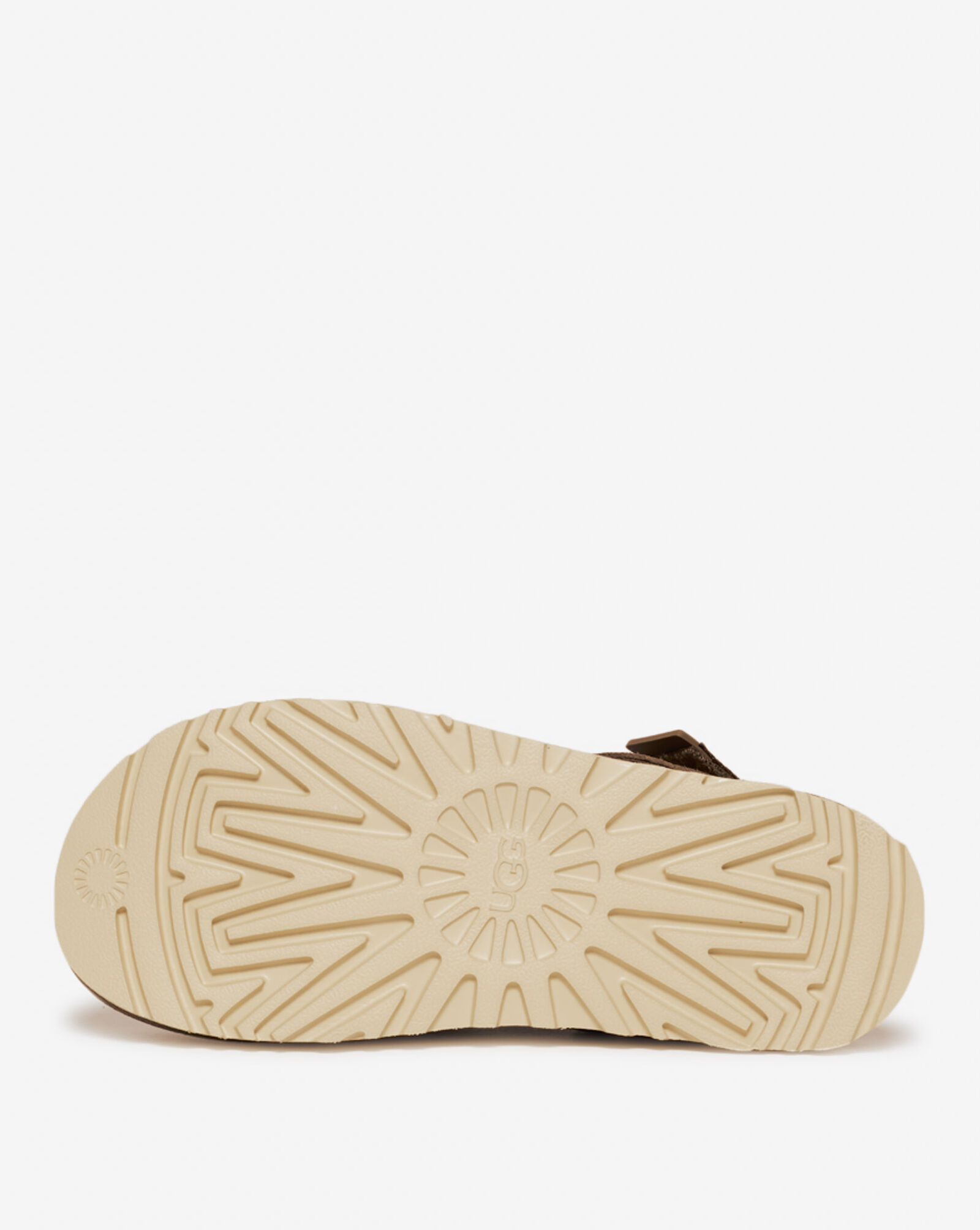 Shop UGG Goldenstar Clog 1138252SHCK brown | SNIPES USA