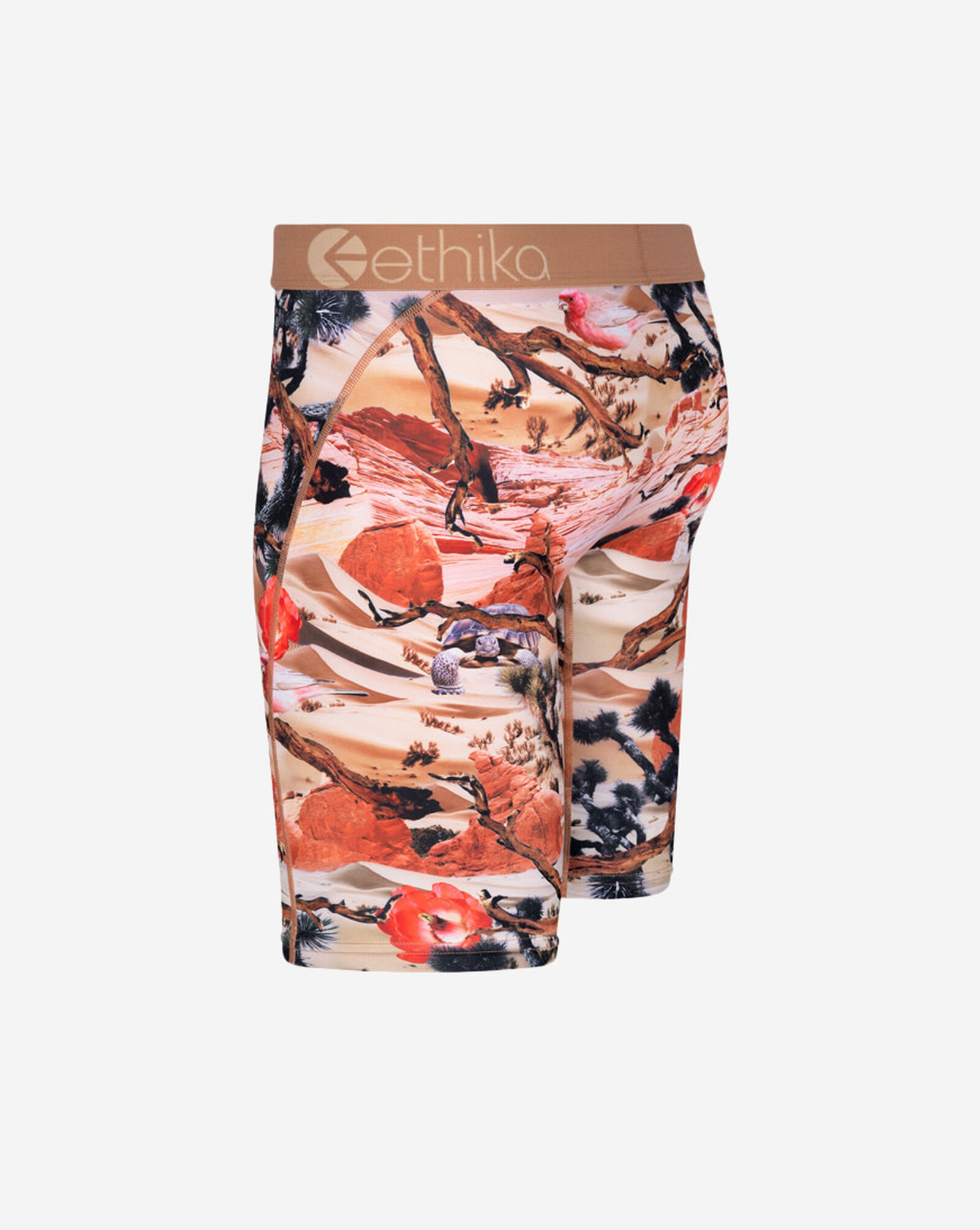 Shop Ethika Joshua Camp Briefs MLUS2937 multi | SNIPES USA