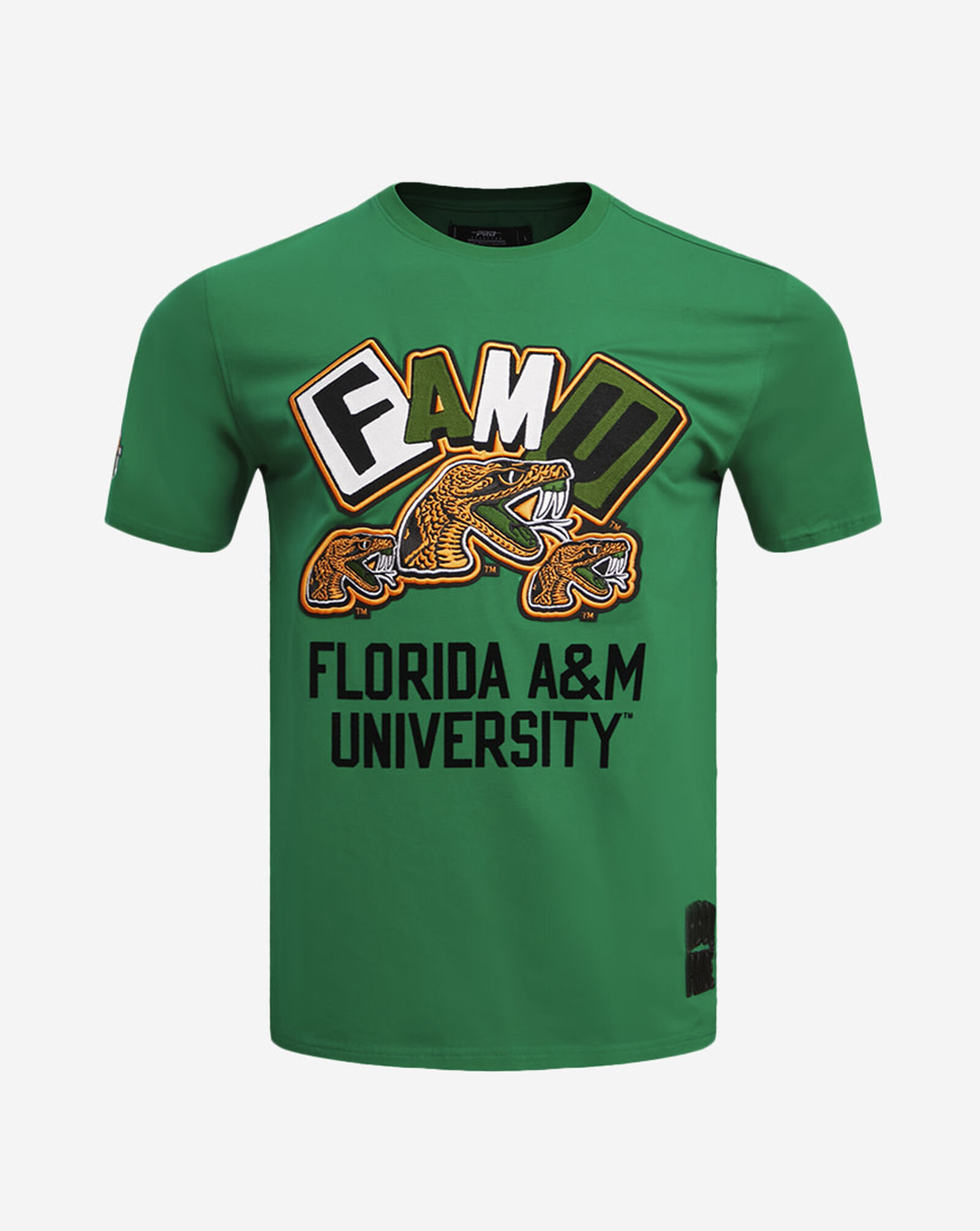 Shop PRO STANDARD FAMU Homecoming Tee CFA171498-KGR green | SNIPES USA