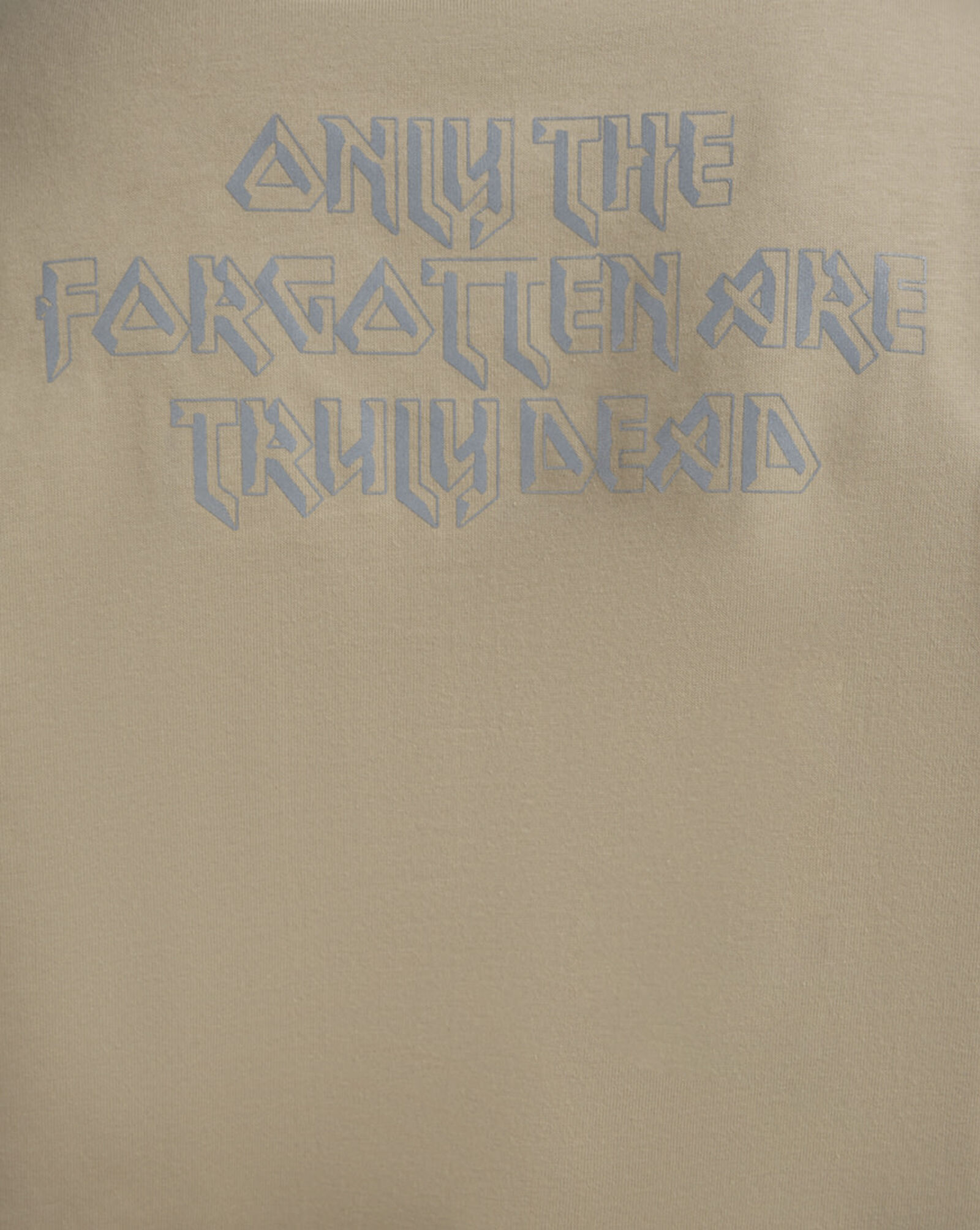 Shop Forgotten Faces Vines Tee FOFUS136-03872 beige | SNIPES USA